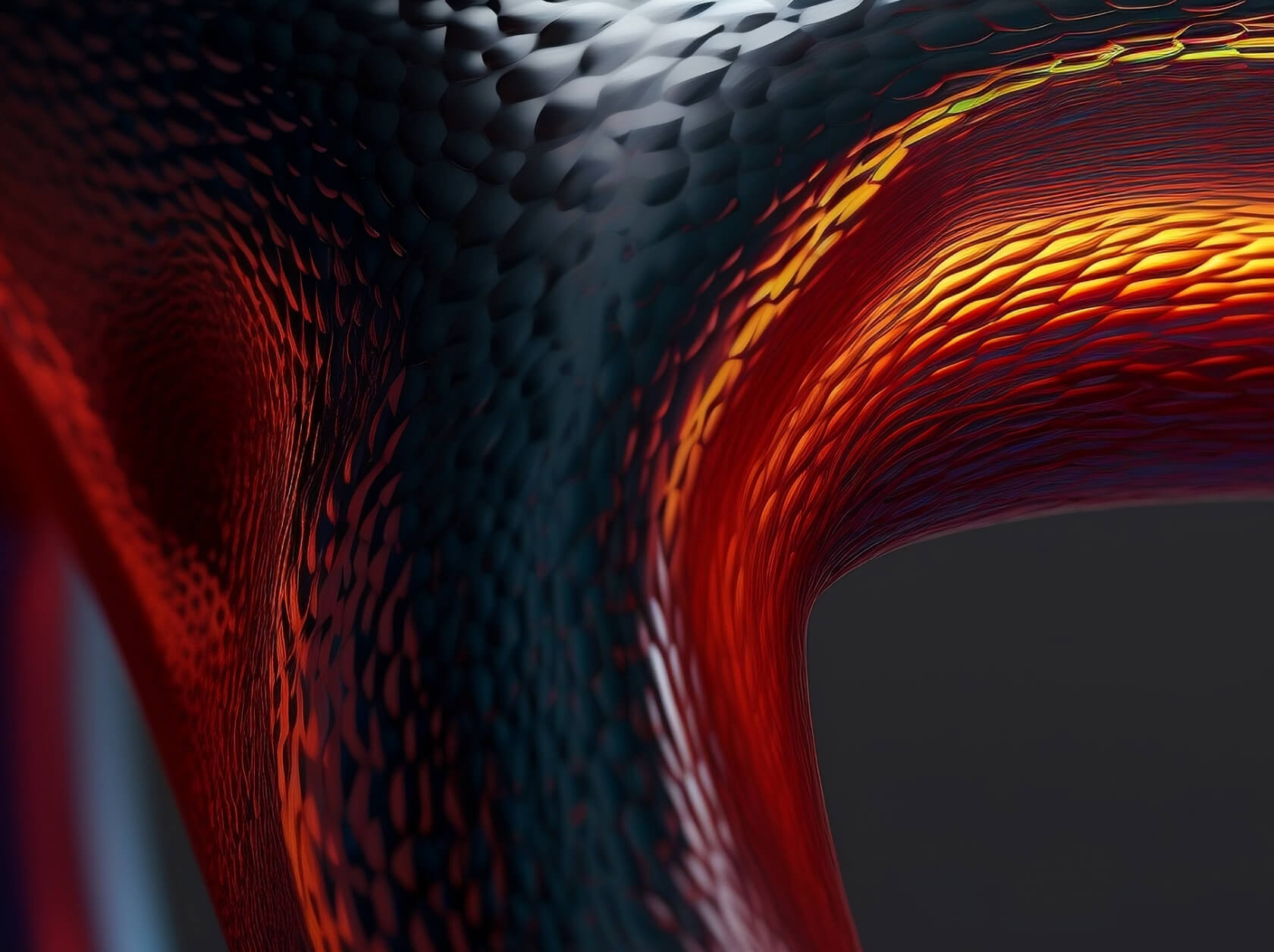 DeepVision: Enhancing image recognition with Neural Networks - Ecofirst